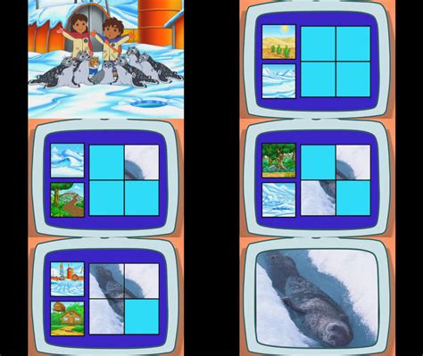 Go Diego Go Ringed Seal By Mdwyer5 On Deviantart