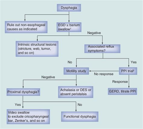 Diagnostic Algorithm For Dysphagia Barium Swallow May Be More