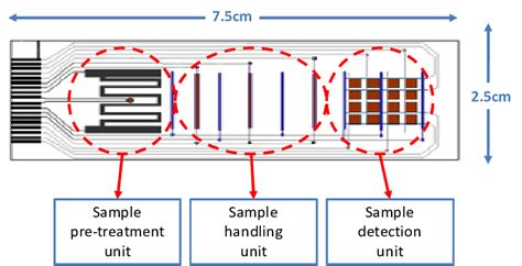 Structure Of The Lab On Chip Download Scientific Diagram