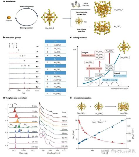 Nature Reviews Materials 天津大学 Nus谢建平 金属纳米团簇 知乎