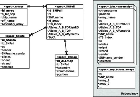Basic Entity Relationship Model For Each Species In The Tool Primary
