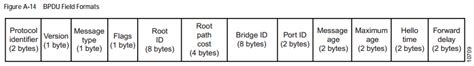 Network Playroom Bpdu Format And Stp Timers