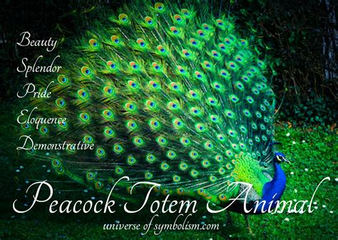 Meaning Of Peacock Symbol At Karen Spaulding Blog