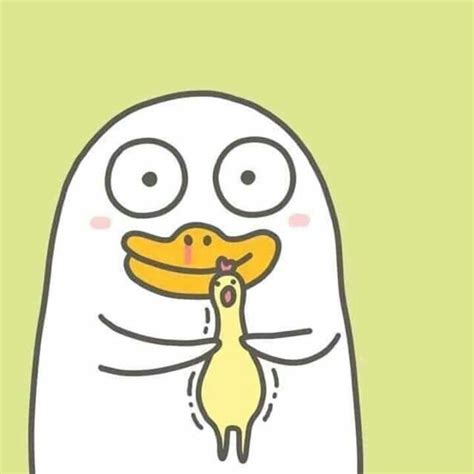 Hình Nền Vịt Avatar ảnh Vịt Cute Ngốc Nghếch