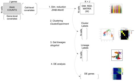 Workflow RNA Seq Blog