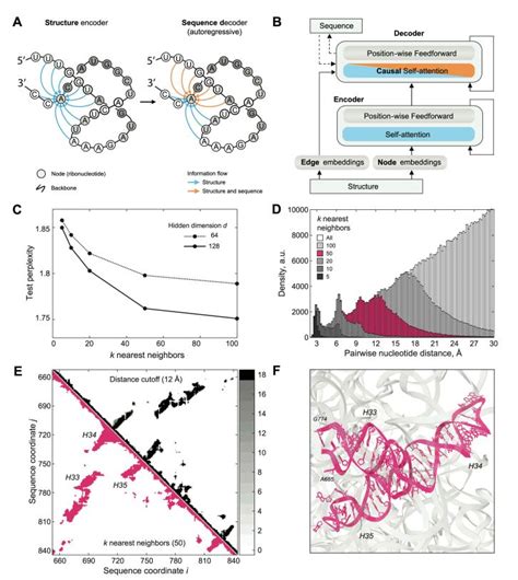 Im Delighted To Share This Work Using An Rna Language Model To Predict Mutations That Enhance