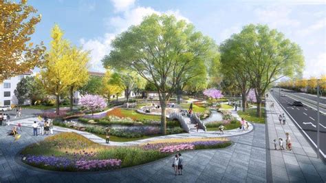 展现公园城市望丛文化双重符号 郫都望丛中路即将华丽变身四川在线