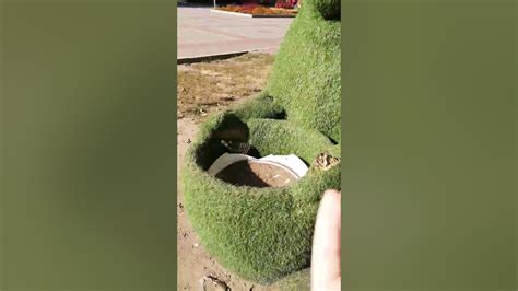 фредди фазбер Youtube