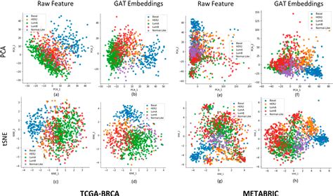 Figure 2 From Mogat A Multi Omics Integration Framework Using Graph Attention Networks For