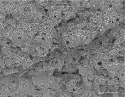 Sem Fractograph Of Specimen A1 Low Temperature Showing Ductile Download Scientific Diagram