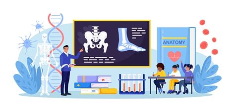 해부학 학교 과목 인간의 골격 뼈를 연구하는 학생들 칠판을 가리키며 아이들을 가르치는 선생님 책상의 학생들은 신체 신경 근육 혈액 시스템을 배웁니다 생물학 수업 의학 Dna
