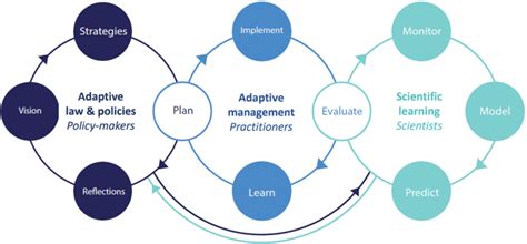 Simplified Interconnected Cycles Of Adaptive Policy And Law Strategic