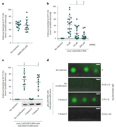 Nat Struct Mol Biol 特殊的rna G 四链体结构介导基因沉默 企业官网