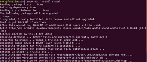 How To Install And Use Dolphin Emulator On Ubuntu Foss Linux