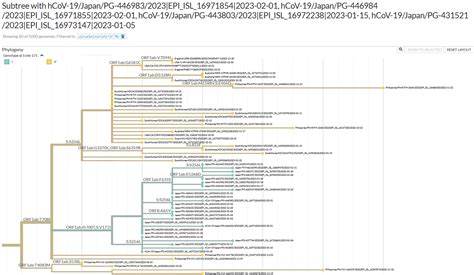 Xbc1 Sublineage With Sv171i 25 Seq Japan · Issue 1671 · Cov Lineagespango Designation