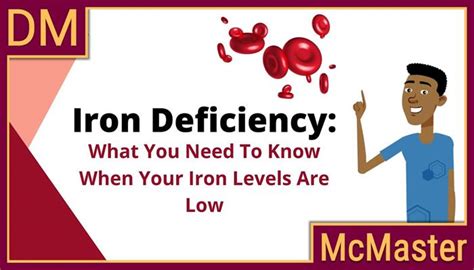 Iron Deficiency What You Need To Know When Your Iron Levels Are Low
