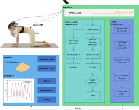 Automated Imu Based Spine Angle Estimation And Imu Location Identification For
