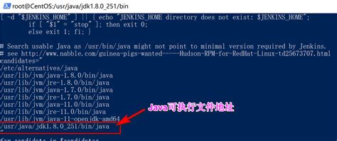 阿里云linux服务器下安装jekins过程记录 Neumann97 博客园