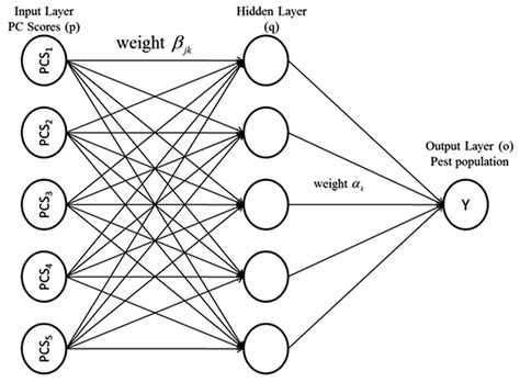 A Typical Ann Structure With A Single Hidden Layer Download