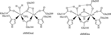 Active Site Structures Of Soluble Methane Monooxygenases Download Scientific Diagram