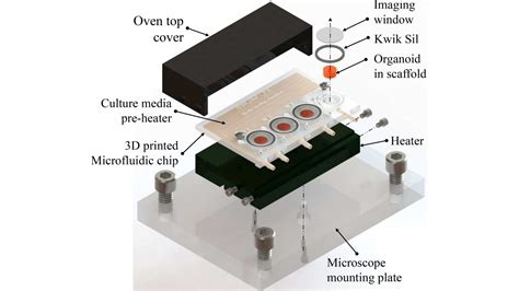 3d Printed Microfluidic Bioreactor For Organ On Chip Cell Culture