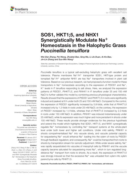Pdf Sos1 Hkt15 And Nhx1 Synergistically Modulate Na Homeostasis In