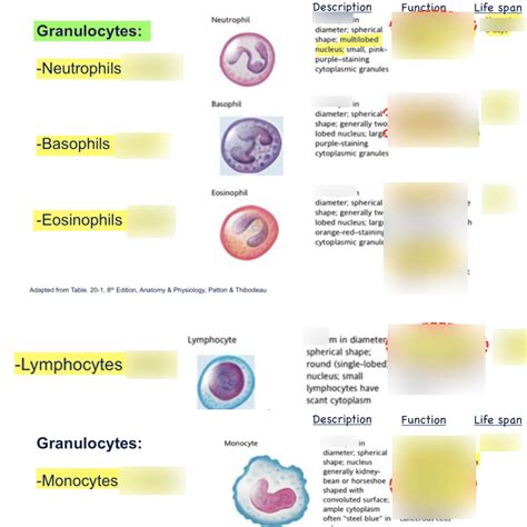 Diagram Of Composition Production General Functions Quizlet