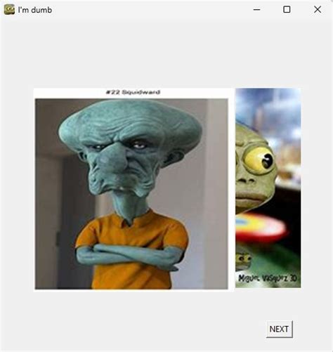 Why Are My Widgetsimages Overlapping On Tkinter Stack Overflow