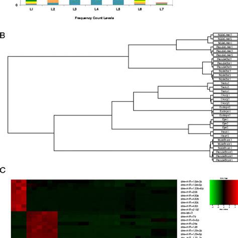 Expression Profile Of The Sex Associated Known Mirnas Differential