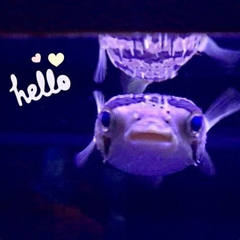 Akko Akiko Cona6811 On Threads