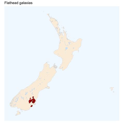 Flathead Galaxias Jpeg Earth Sciences New Zealand Niwa