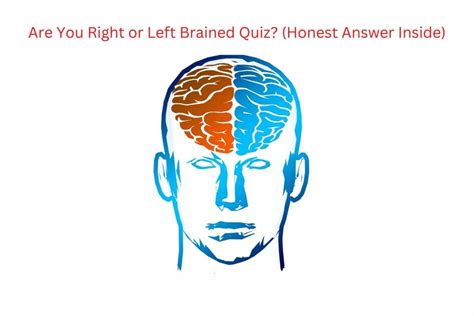 Are You Right Or Left Brained Quiz Honest Answer Inside Solution Tales
