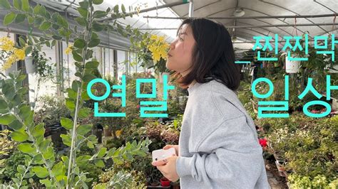 Vlog 아직도 연말 일상 브이로그 And 어이없는 전화 신점 Youtube