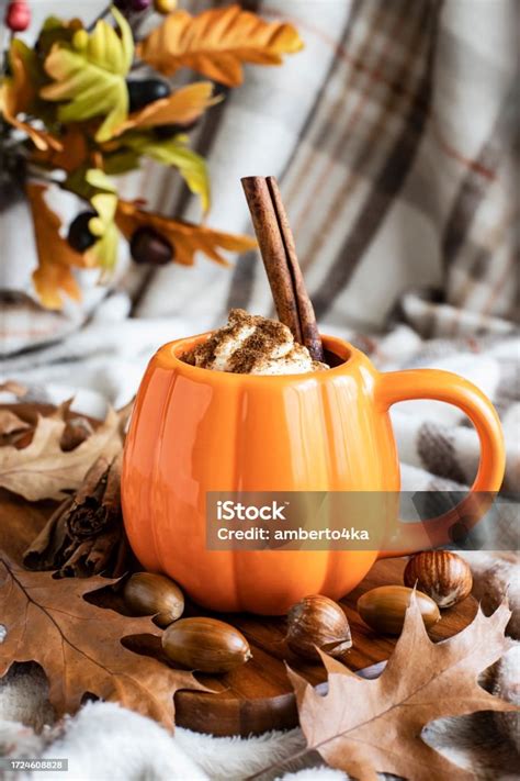호박 스파이스 라떼 세라믹 머그잔에 계피와 가을 장식 근처 호박 조롱박과 식물에 대한 스톡 사진 및 기타 이미지 호박 조롱박과 식물 머그 가을 Istock