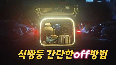 멀티버스를 열었으면 끌줄도 알아야지카니발 쏘렌토 토레스 식빵등트렁크등 Youtube