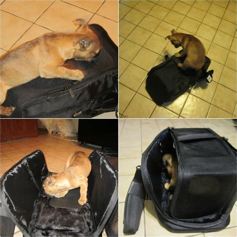 Simple Country Breakfast Casserole Recipe A Magical Mess