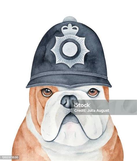 금속 크라운과 스타 배지와 검은 경찰 헬멧 모자를 착용 영어 불독 캐릭터 흰색 배경에 손으로 그린 수채화 스케치 드로잉 디자인
