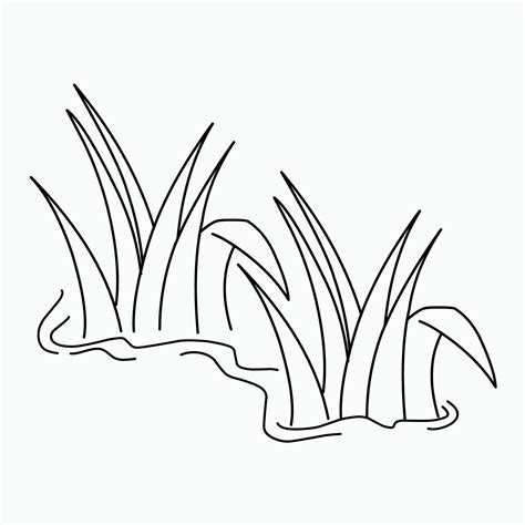 Grass Drawing