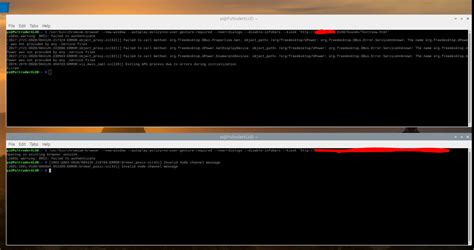 Raspberry Pi How To Open Two Chromium Web Pages In Kiosk Mode With