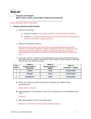 Lab Report Enzymes Doc BioLab Enzymes Lab Report Name Date Course And Section Required For