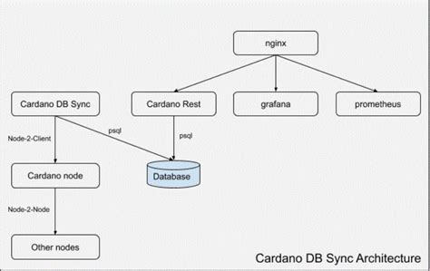 Cardano Db Sync Iohk Support