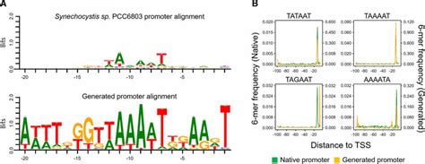 Evaluation Of The Variational Autoencoder Vae Model Using Position Download Scientific