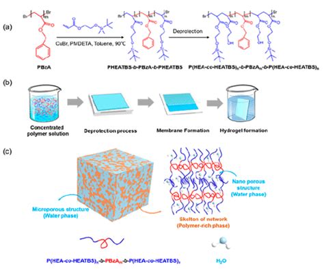 Phase Separation Induced Porous Hydrogels From Amphiphilic Triblock