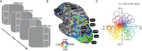Measuring Spatial Selectivity Of Individual Fmri Voxels Via Population
