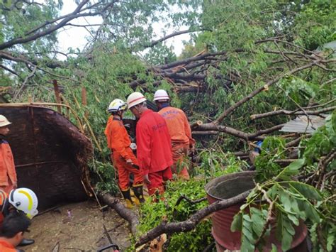 နေအိမ်ပေါ်သို့ သစ်ပင်လဲကျပိမိခဲ့ကာ ၁၃ နှစ်အရွယ်ကလေးငယ်တစ်ဦးသေဆုံးမှု ချောက်မြို့၌ ဖြစ်ပွား