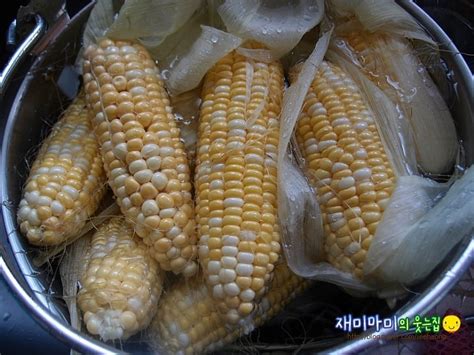 사탕옥수수초당옥수수 삶거나 찌기