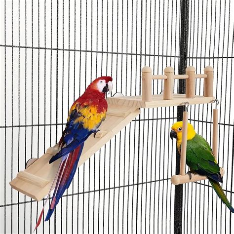 Large Macaw Cage Recommendations For Blue And Gold Macaws