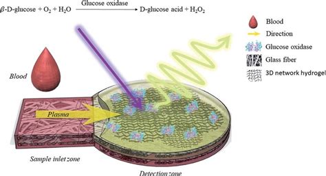 Schematic Drawing Of The Mpad With 3d Luminescent Network Hydrogel For Download Scientific