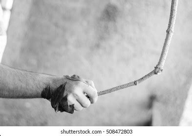 People Shaking Hands Tree Stock Photo Shutterstock
