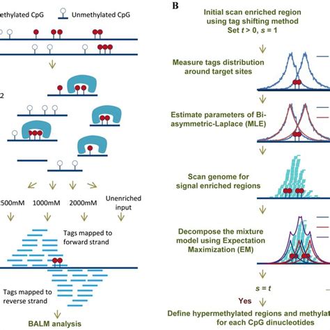 overview of experimental design and analysis a major steps of mbd seq